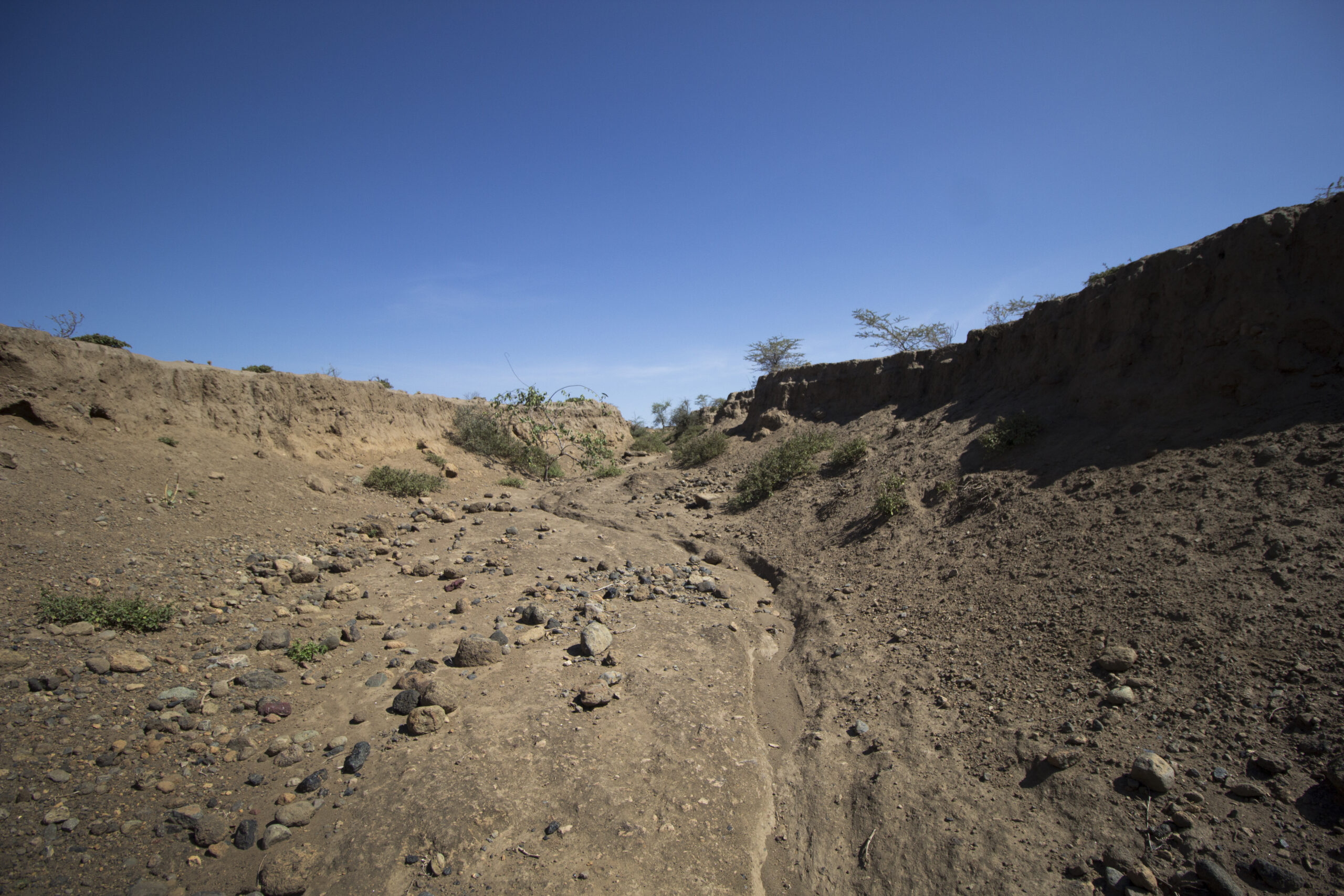 Building drought resilience in Ethiopian river basins - REACH ...