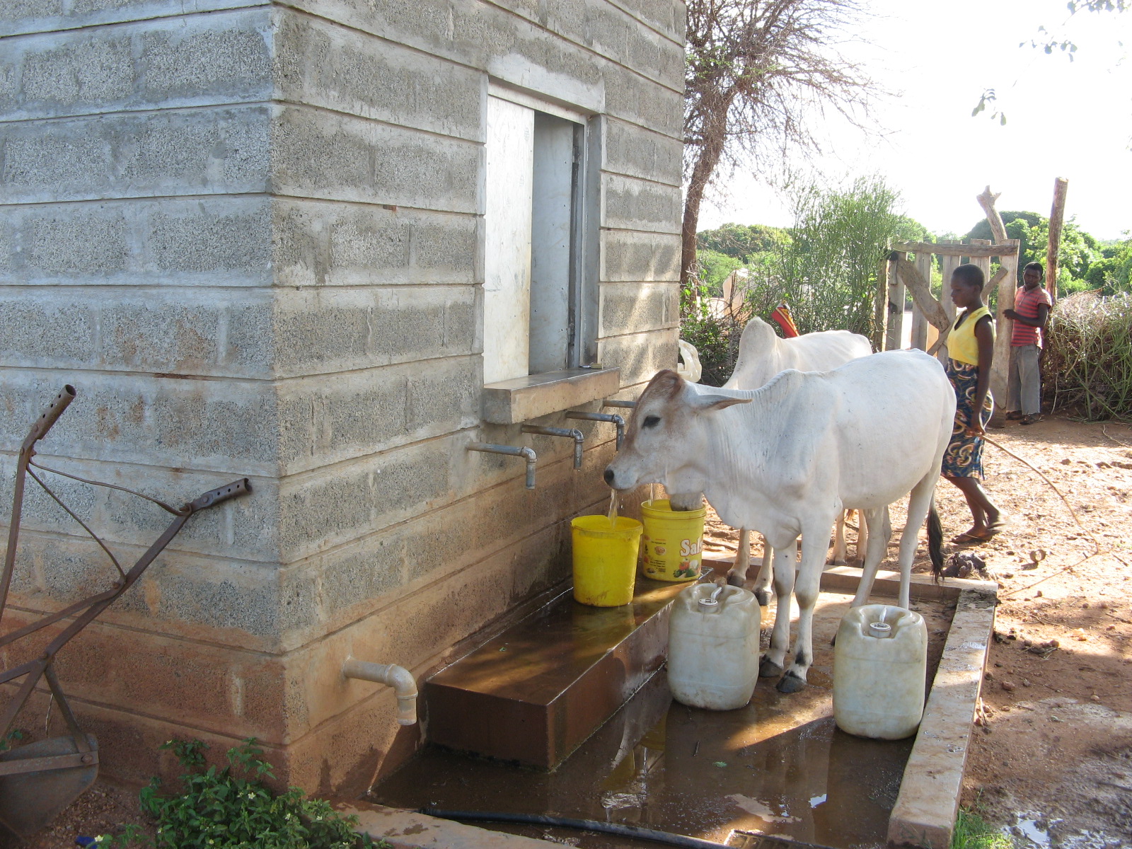Cleaning the tap: Tap hygiene for safer drinking water - REACH ...